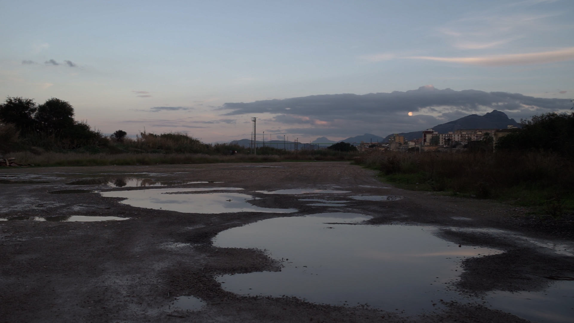 ELIZA COLLIN: Wet Zones • Fondazione Studio Rizoma