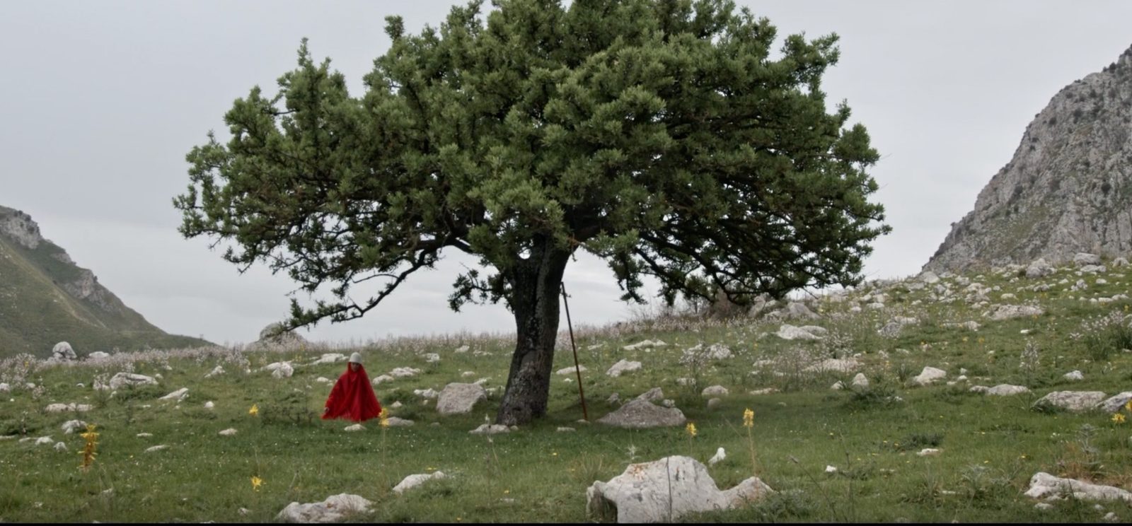 Project presentation: ‘MAMMA PERDONAMI / MËMA MË FAL’ di Genny Petrotta in Madrid • Fondazione ...